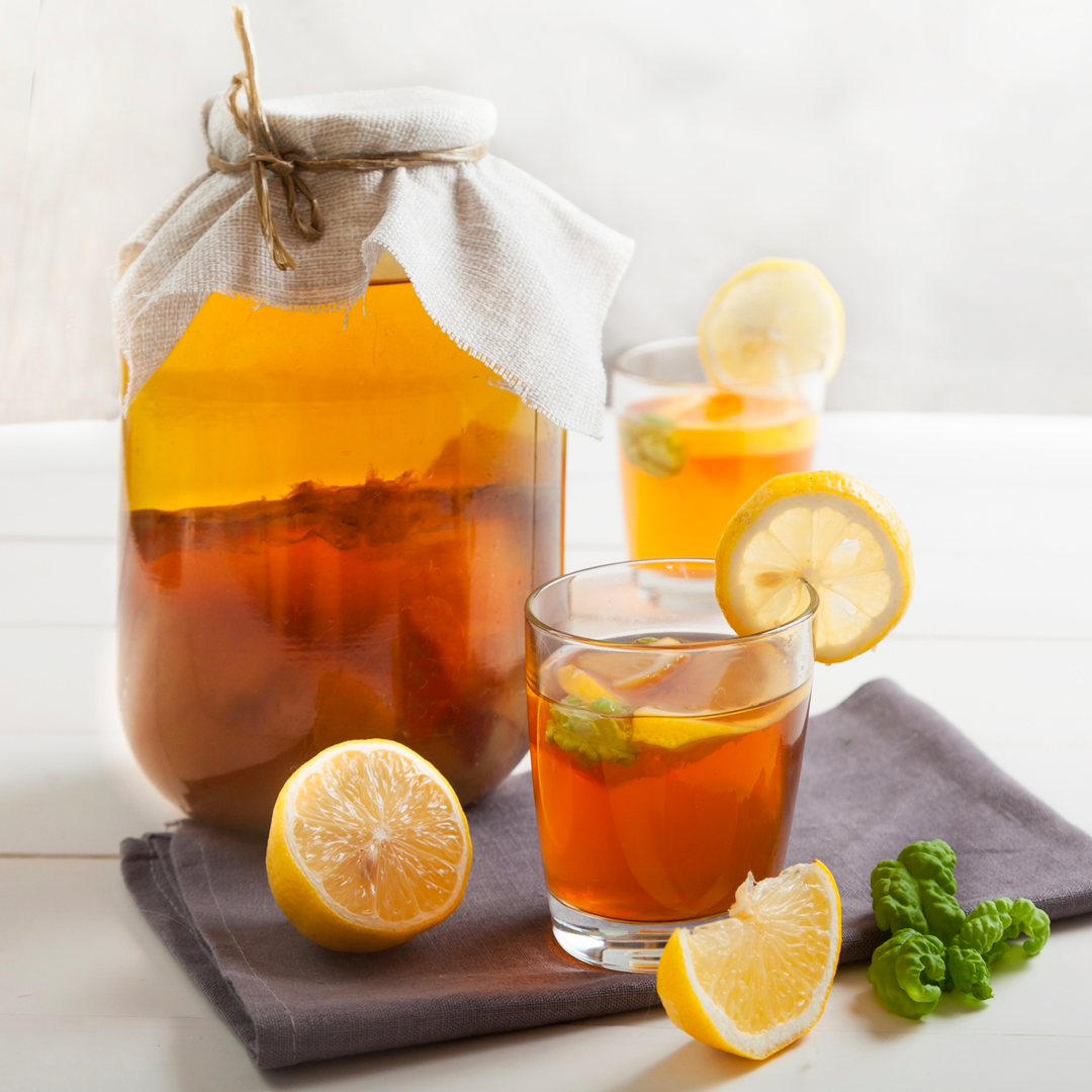 Kombucha – Tasty Snack Asia